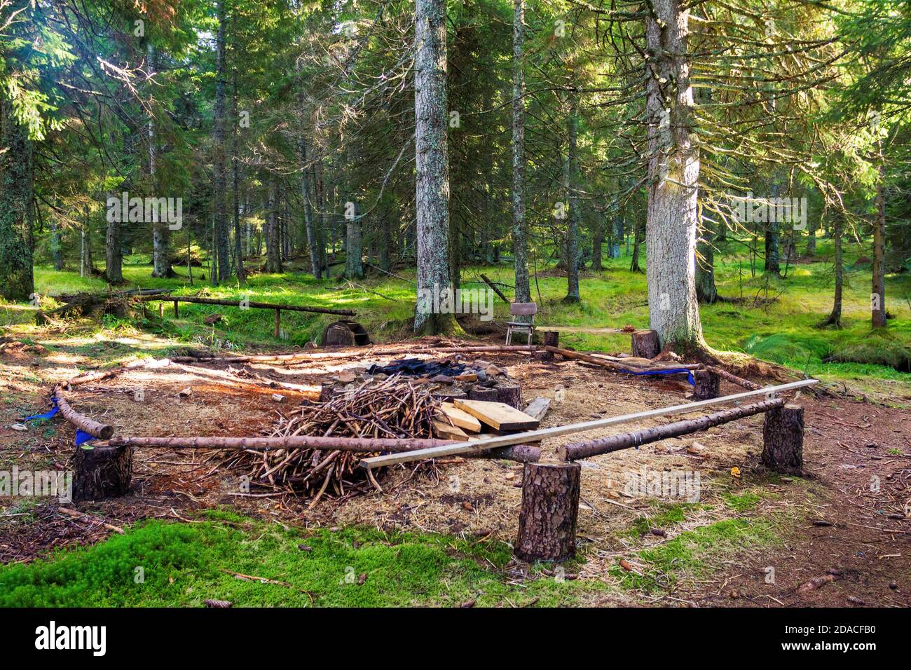 Camping spot with bonefire place in a forest Stock Photo - Alamy