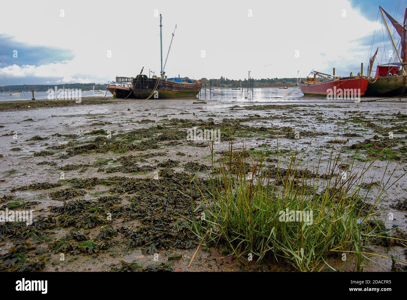Boats stranded by low tide on the River Orwell at Pin Mill, Suffolk, UK ...