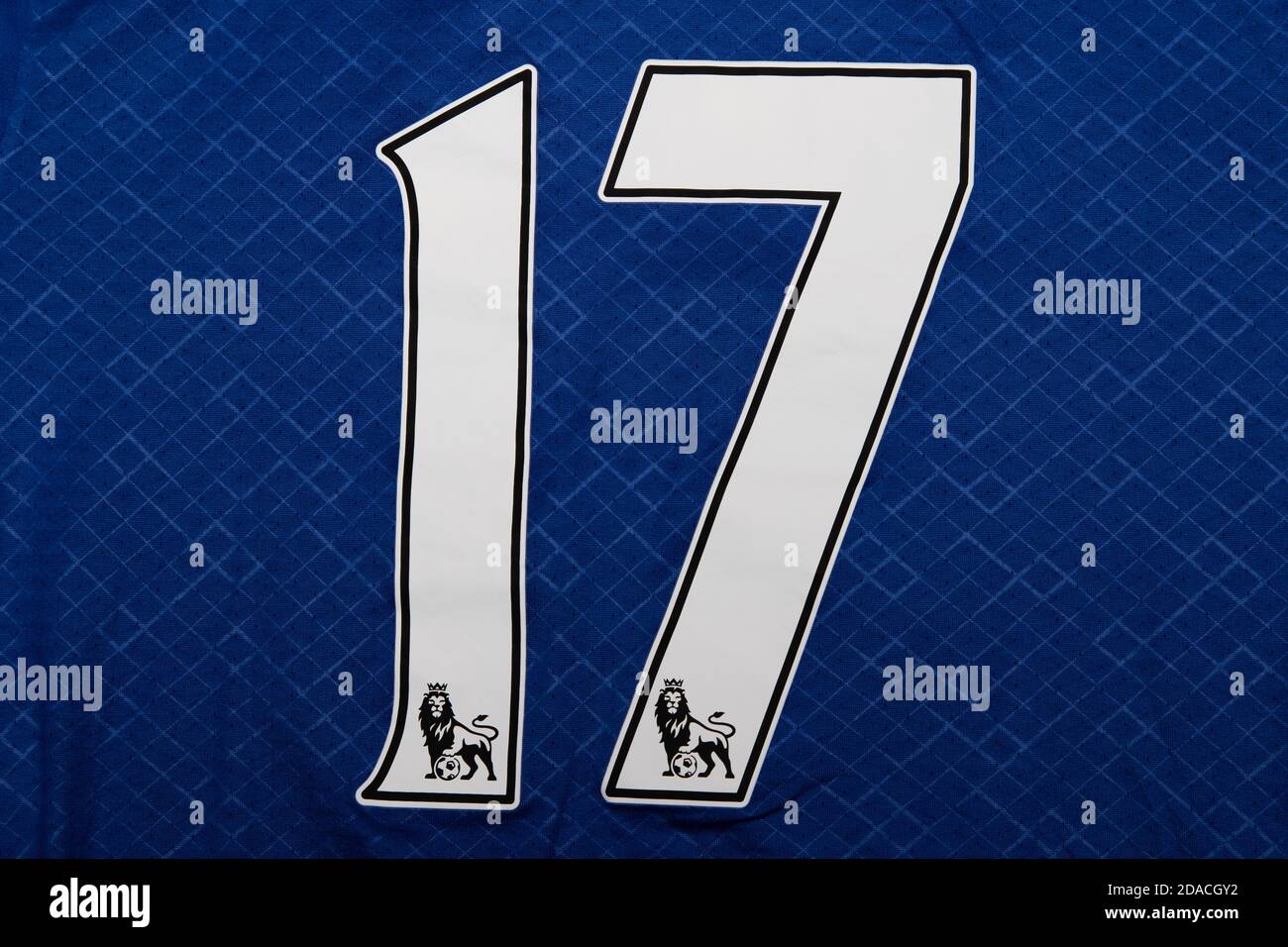 Number 17 on the back of a blue Everton shirt with inset Premier League ...