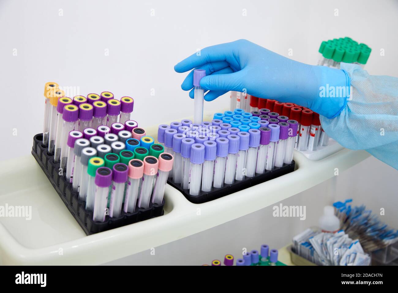 Scientist working with blood sample in laboratory Stock Photo - Alamy