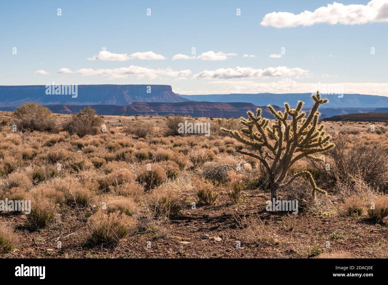 Arid plain hi-res stock photography and images - Alamy