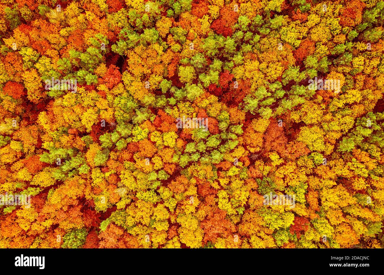 Natural Form High Resolution Stock Photography and Images - Alamy