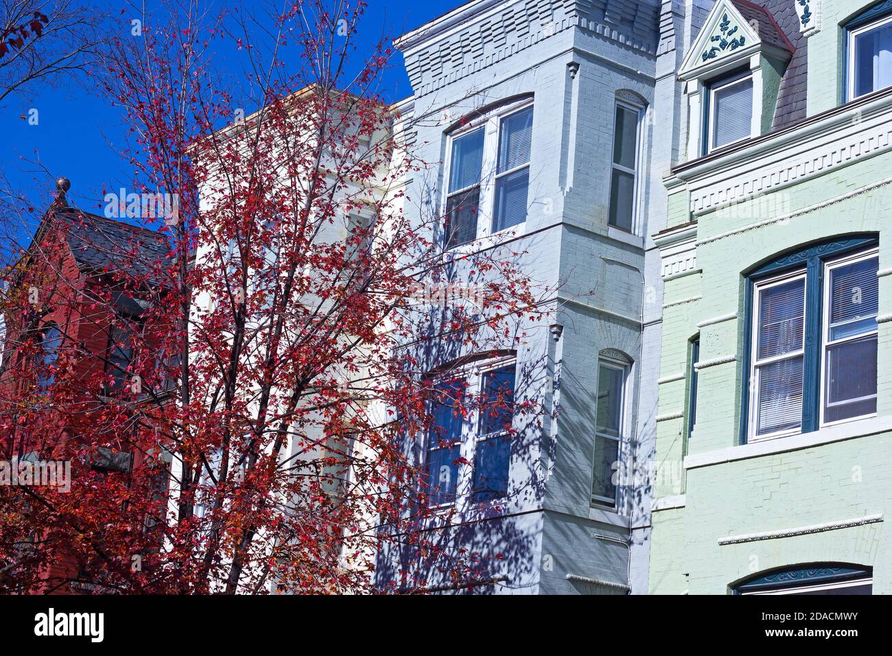 Autumn in suburban neighborhood of Washington DC, USA. Morning sun ...