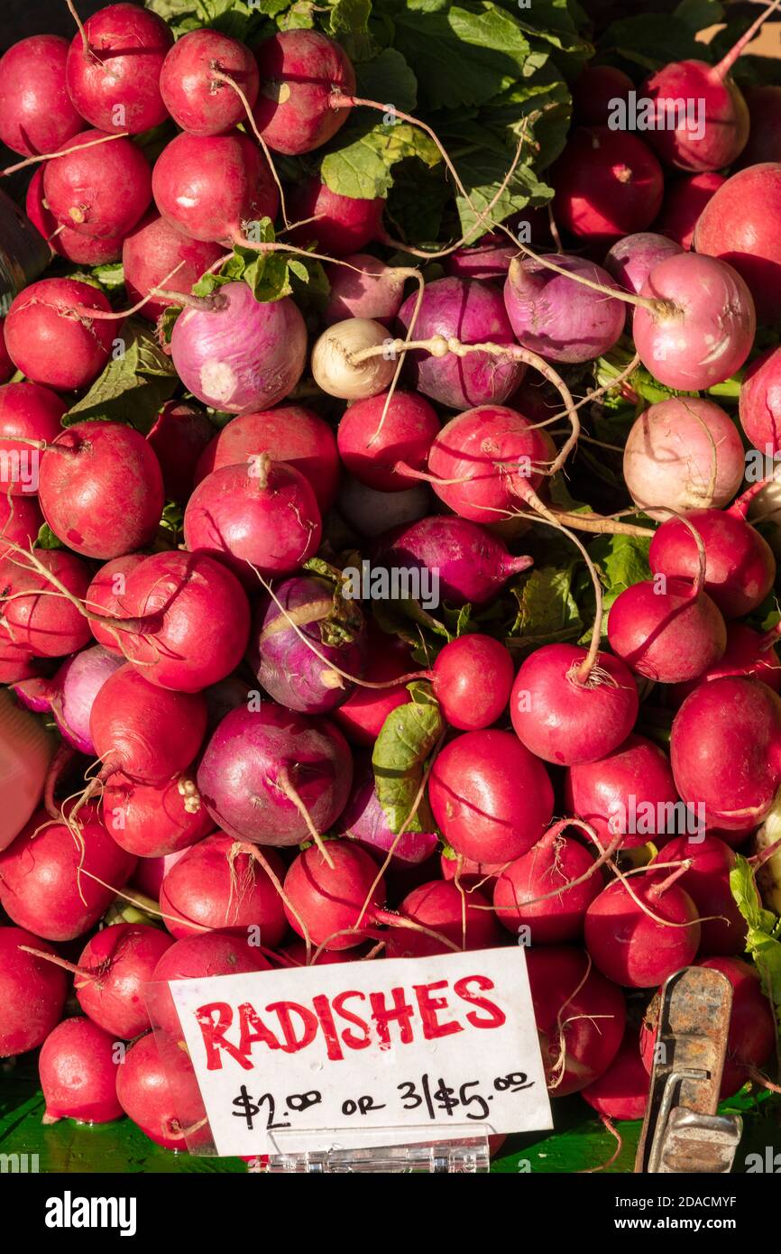 Plant with tap root hi-res stock photography and images - Alamy