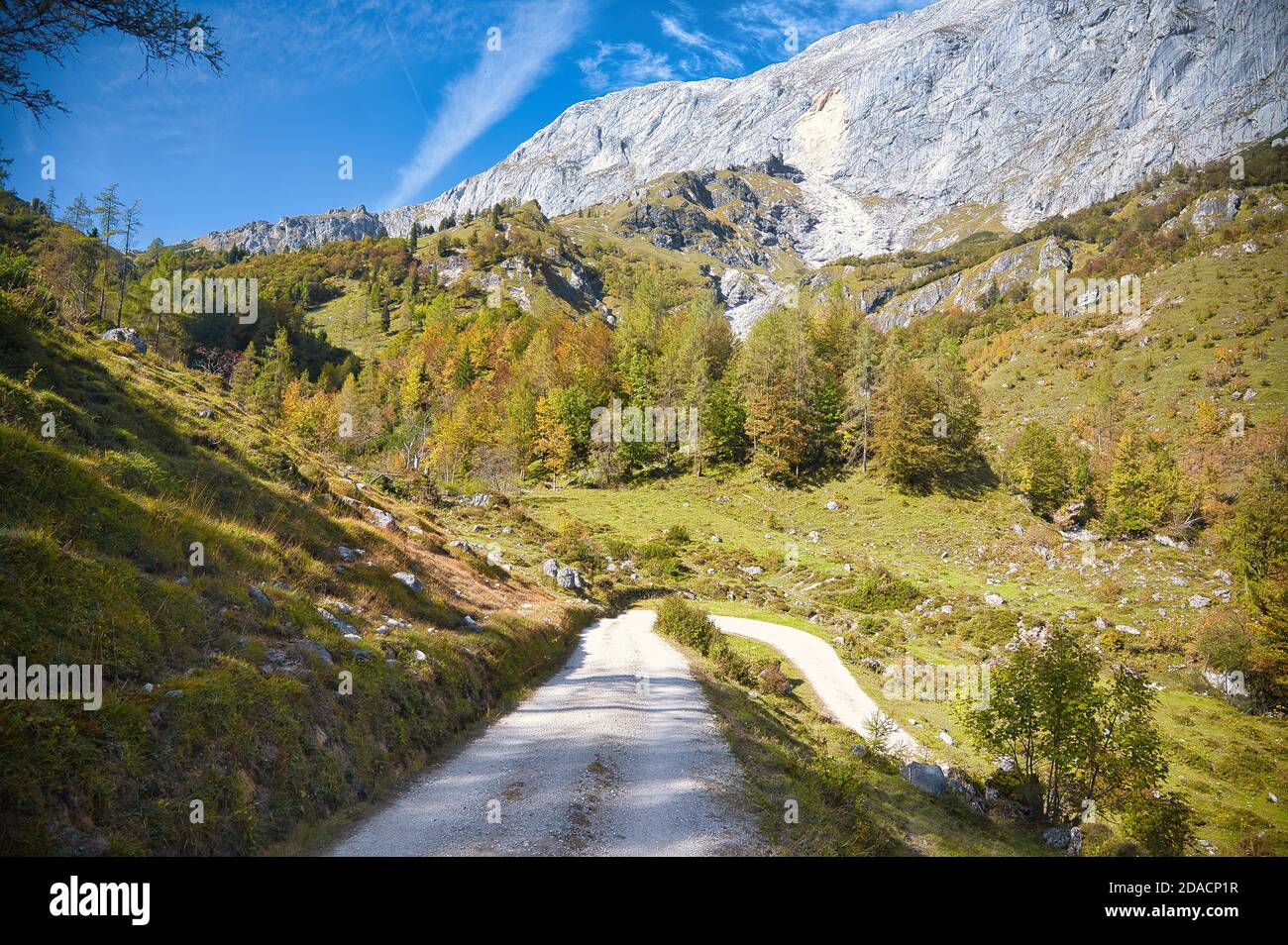 Unterjoch alm hi-res stock photography and images - Alamy