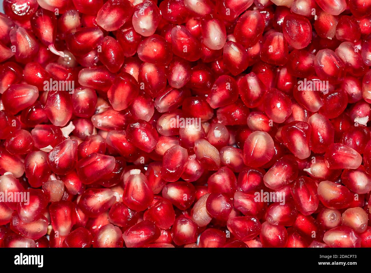 Red pomegranate close-up, juicy red fruit ready to eat, healthy food ...