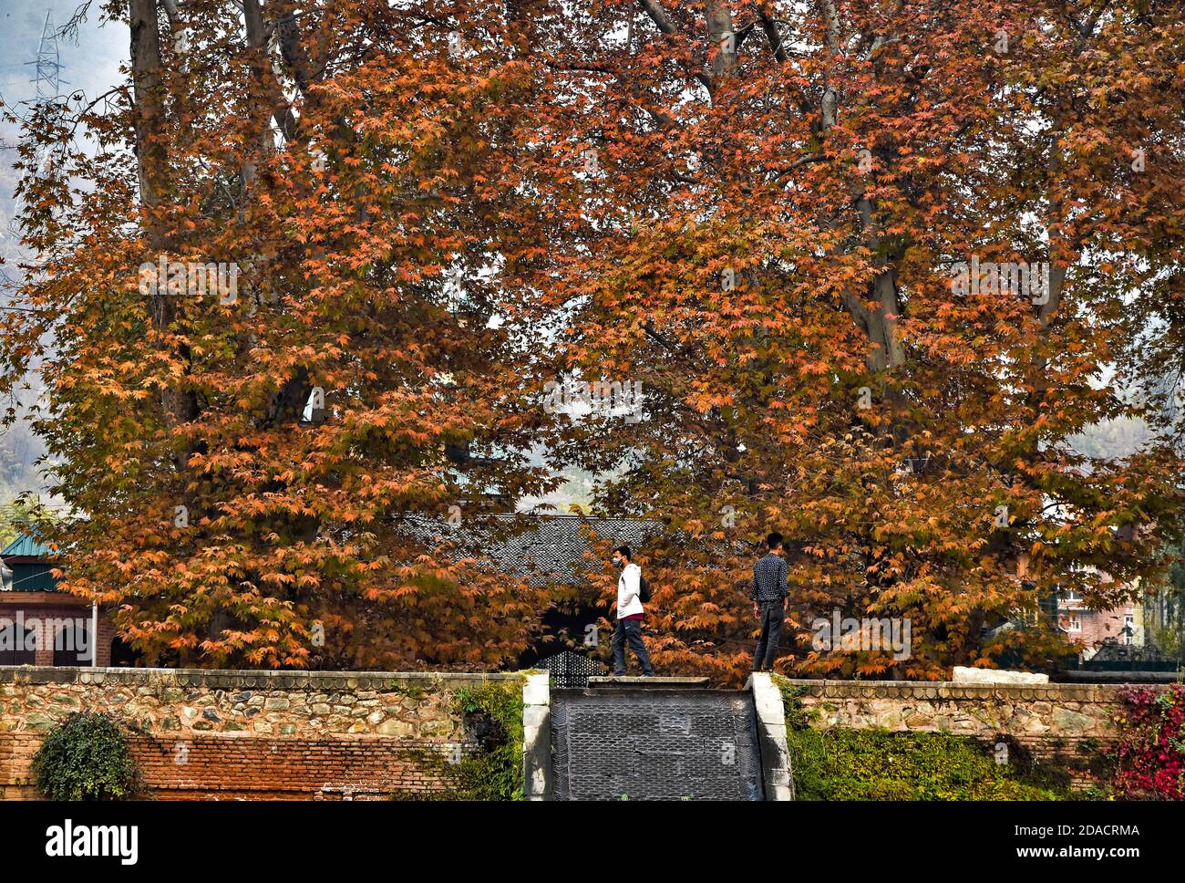 When The Days Get Shorter High Resolution Stock Photography and Images ...