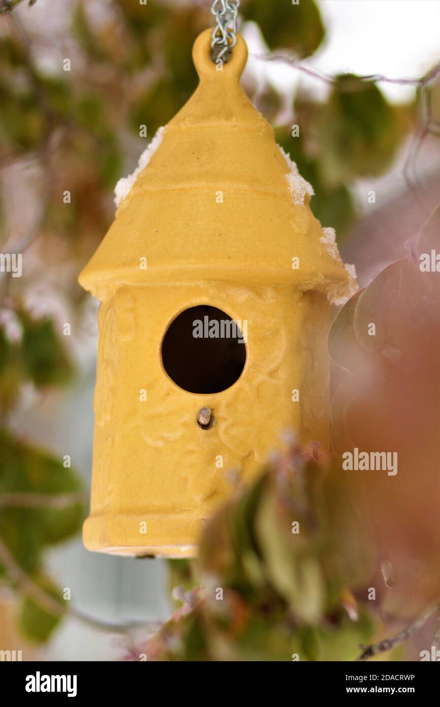 Yellow Bird House In Snow Tree Stock Photo - Alamy