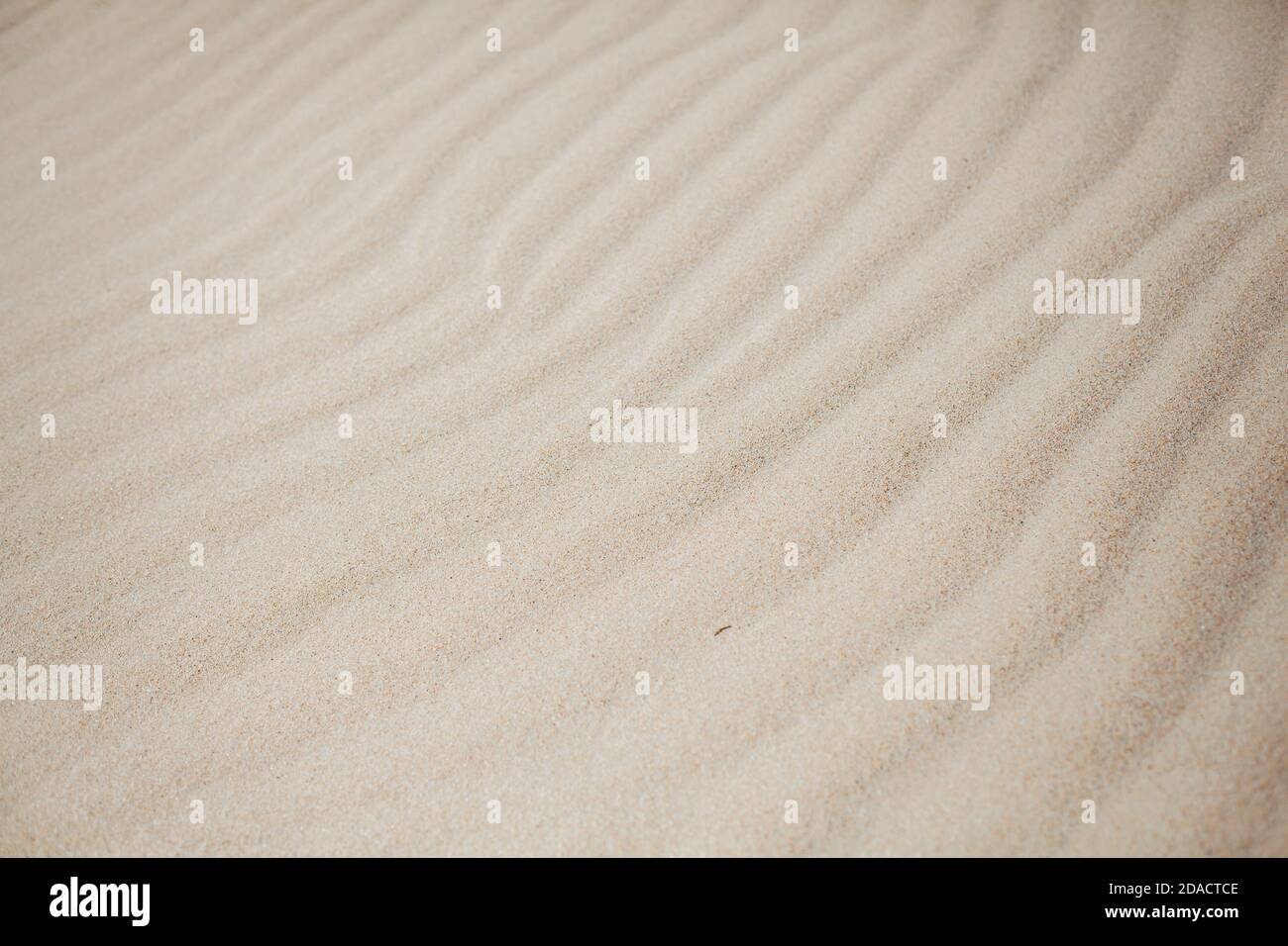Sand texture. Sandy beach for background. Top view Stock Photo - Alamy