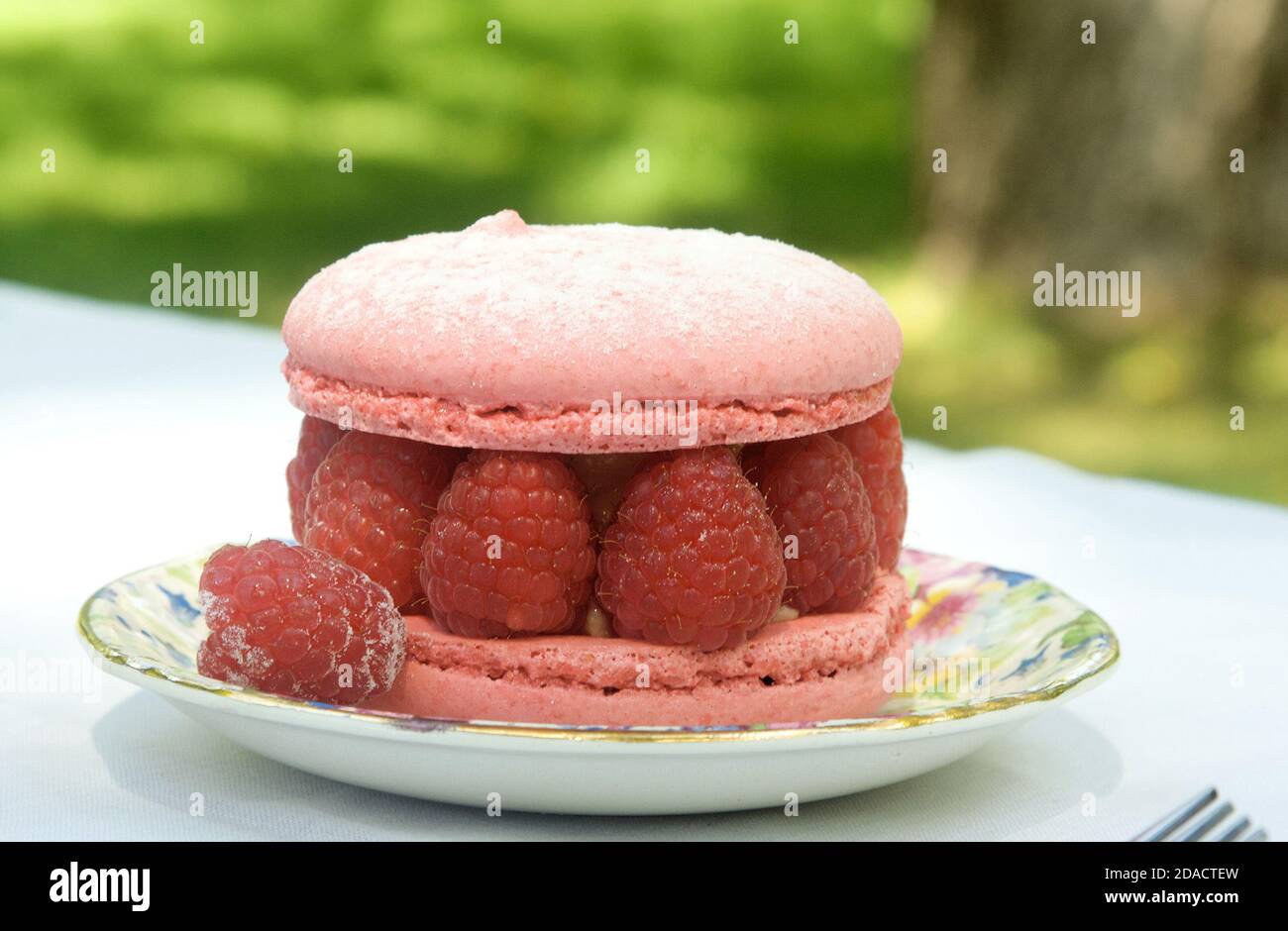 Plated dessert hi-res stock photography and images - Alamy