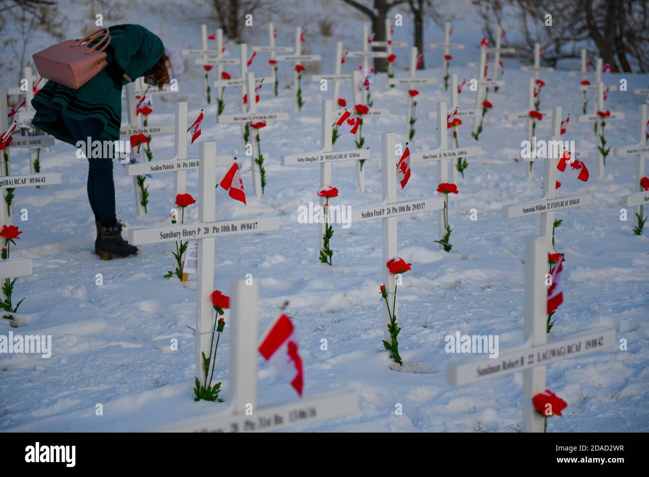 Calgary, Alberta, Canada. 11th Nov, 2020. Members of the public inspect ...