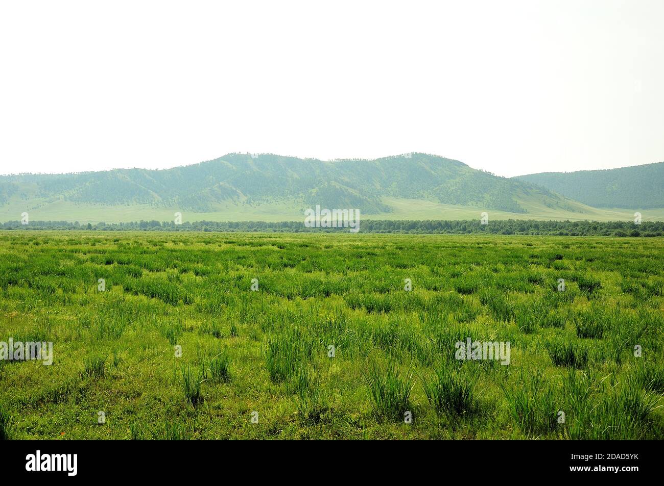 Steppe landscape people hiking background hi-res stock photography and ...