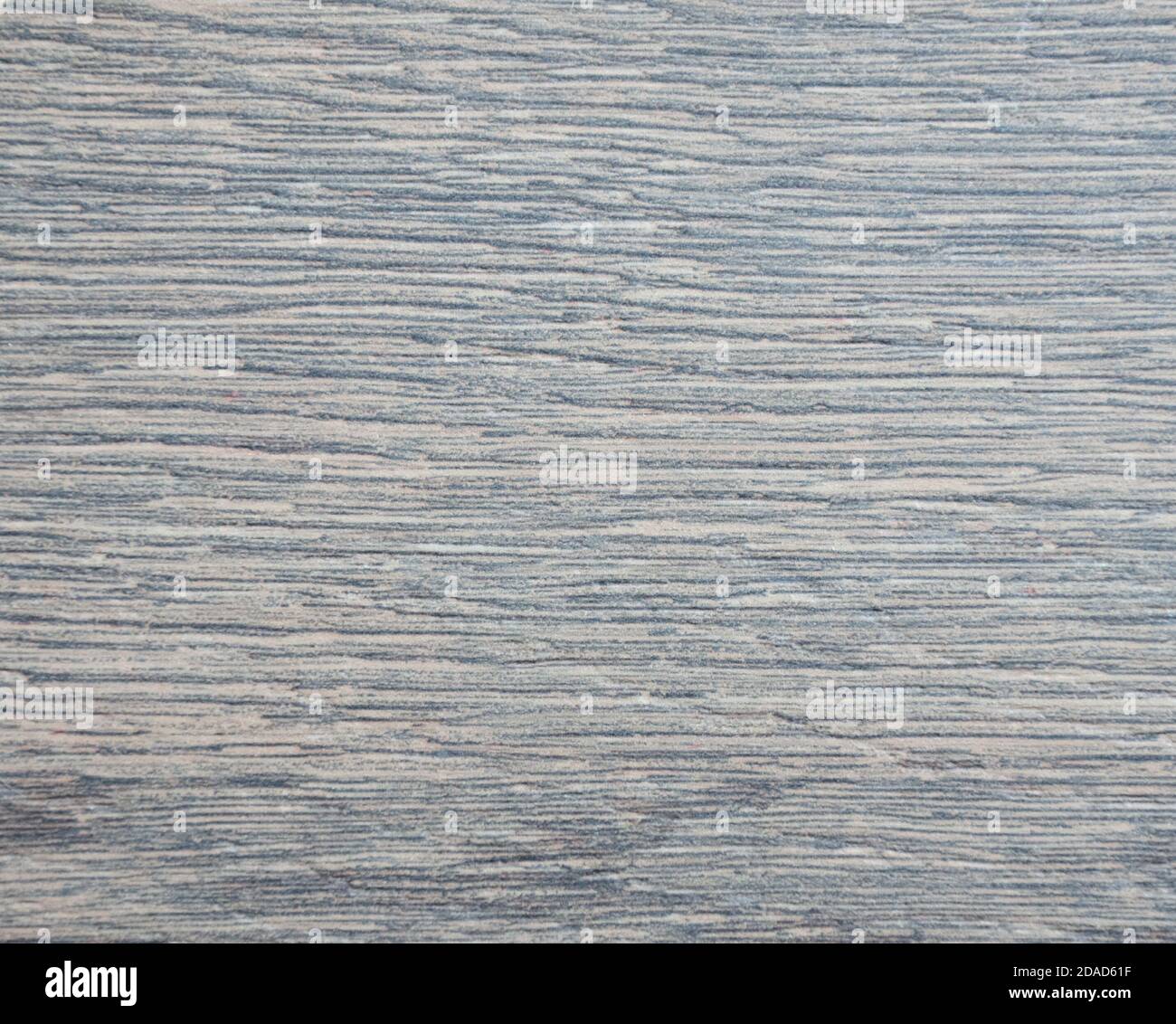 Clarified wenge walnut, a flat surface of natural wood close-up ...