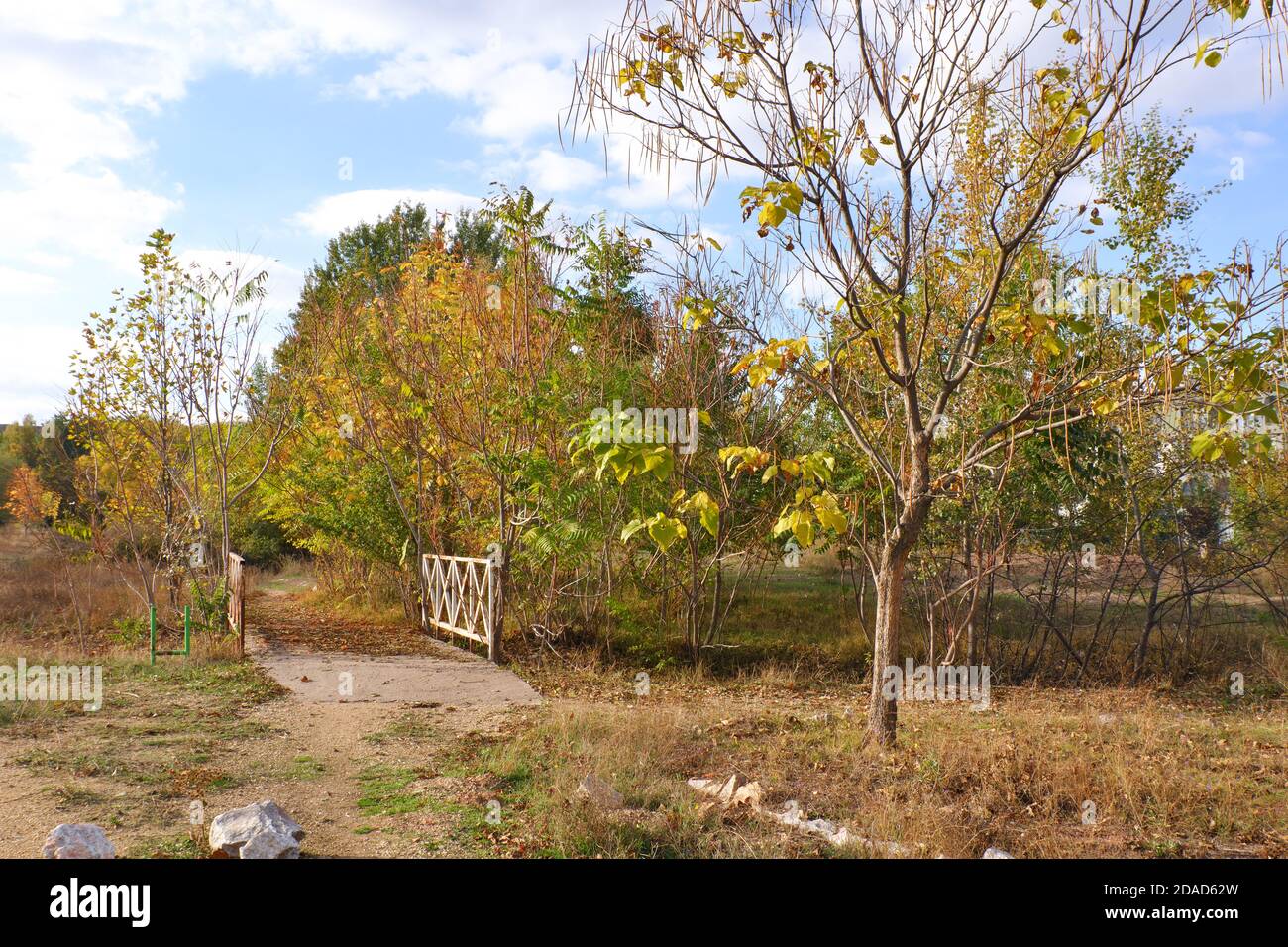 Small bridge within nature at autumn Stock Photo - Alamy