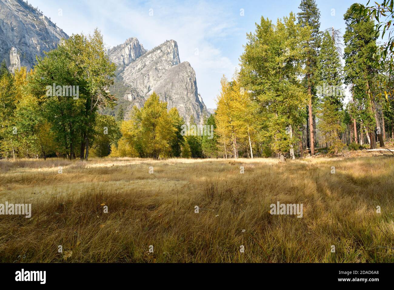 Fall Colors in Yosemite National Park Stock Photo - Alamy