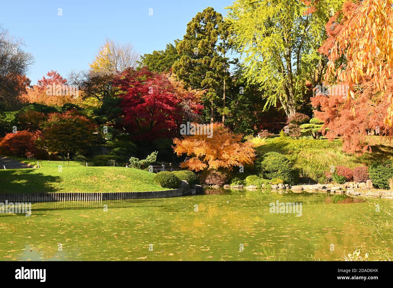 Autumn - Brooklyn Botanic Garden, Japanese Hill & Pond Garden Stock ...