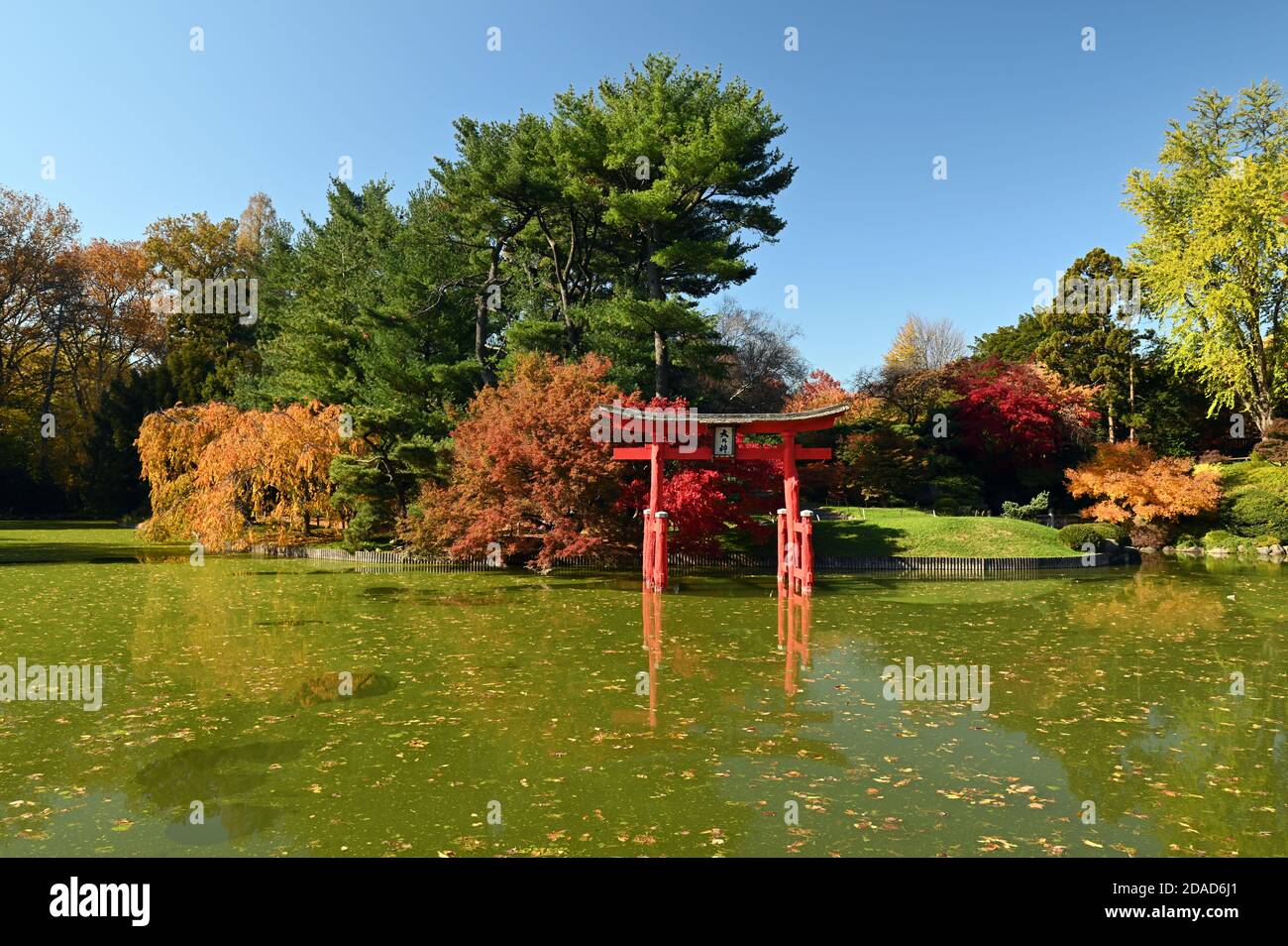 Autumn - Brooklyn Botanic Garden, Japanese Hill & Pond Garden Stock ...