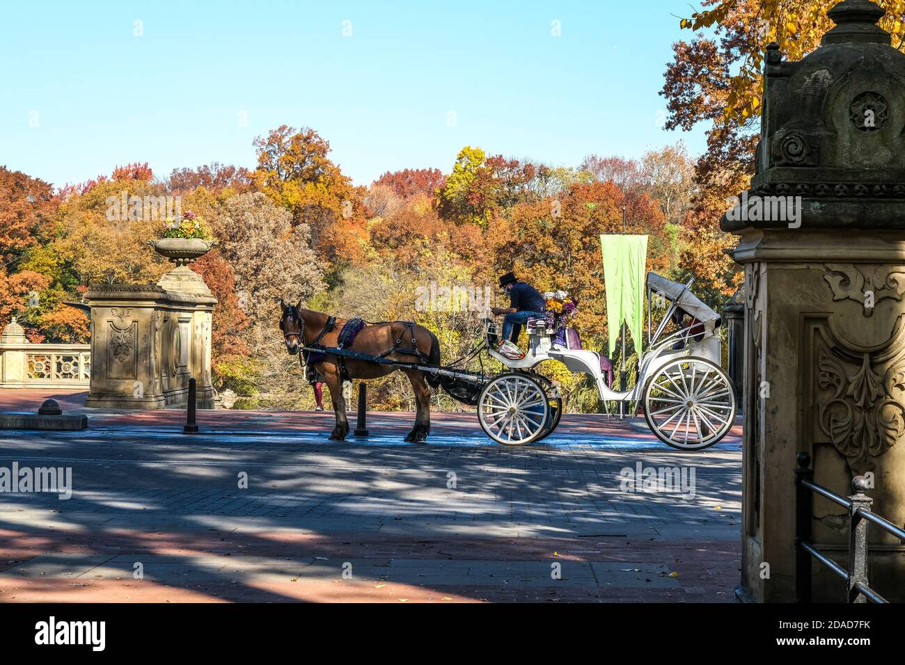 Horse carriage coachman driving hi-res stock photography and images - Alamy