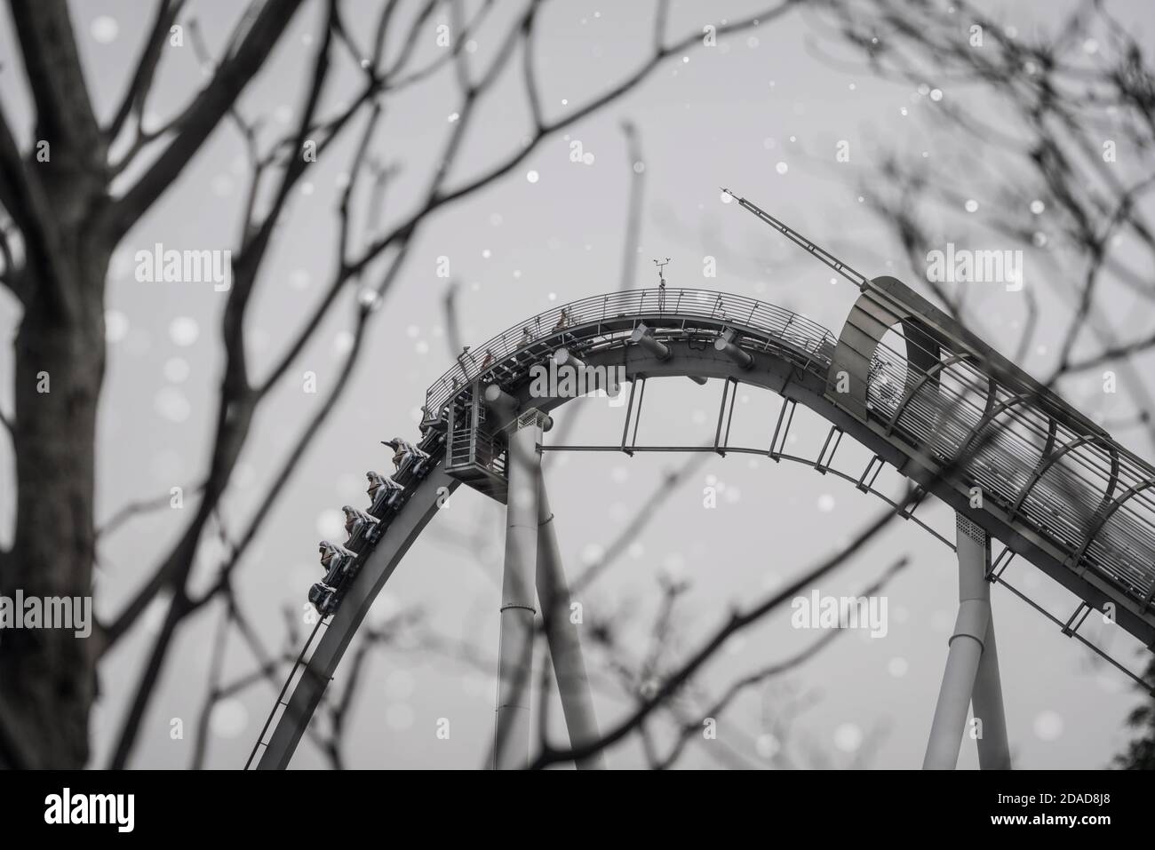 Snow white ice show hi-res stock photography and images - Alamy