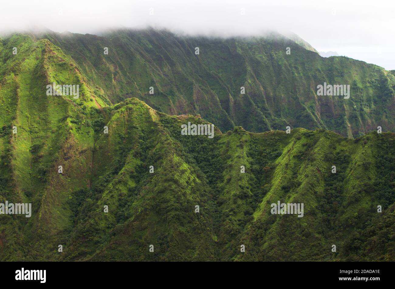 Walking alongside the cliffs of the Moana Lua trail in O'ahu, Hawai'i ...