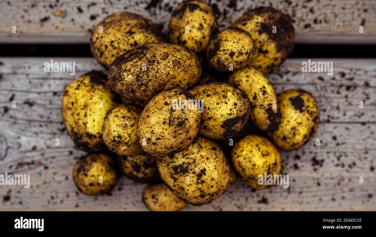 Garden soil plank hi-res stock photography and images - Alamy