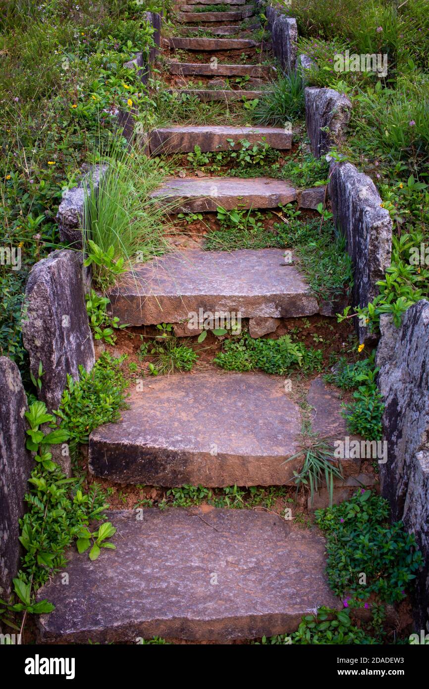 View of Steps made with stone with in a park, Karnataka, India Stock ...