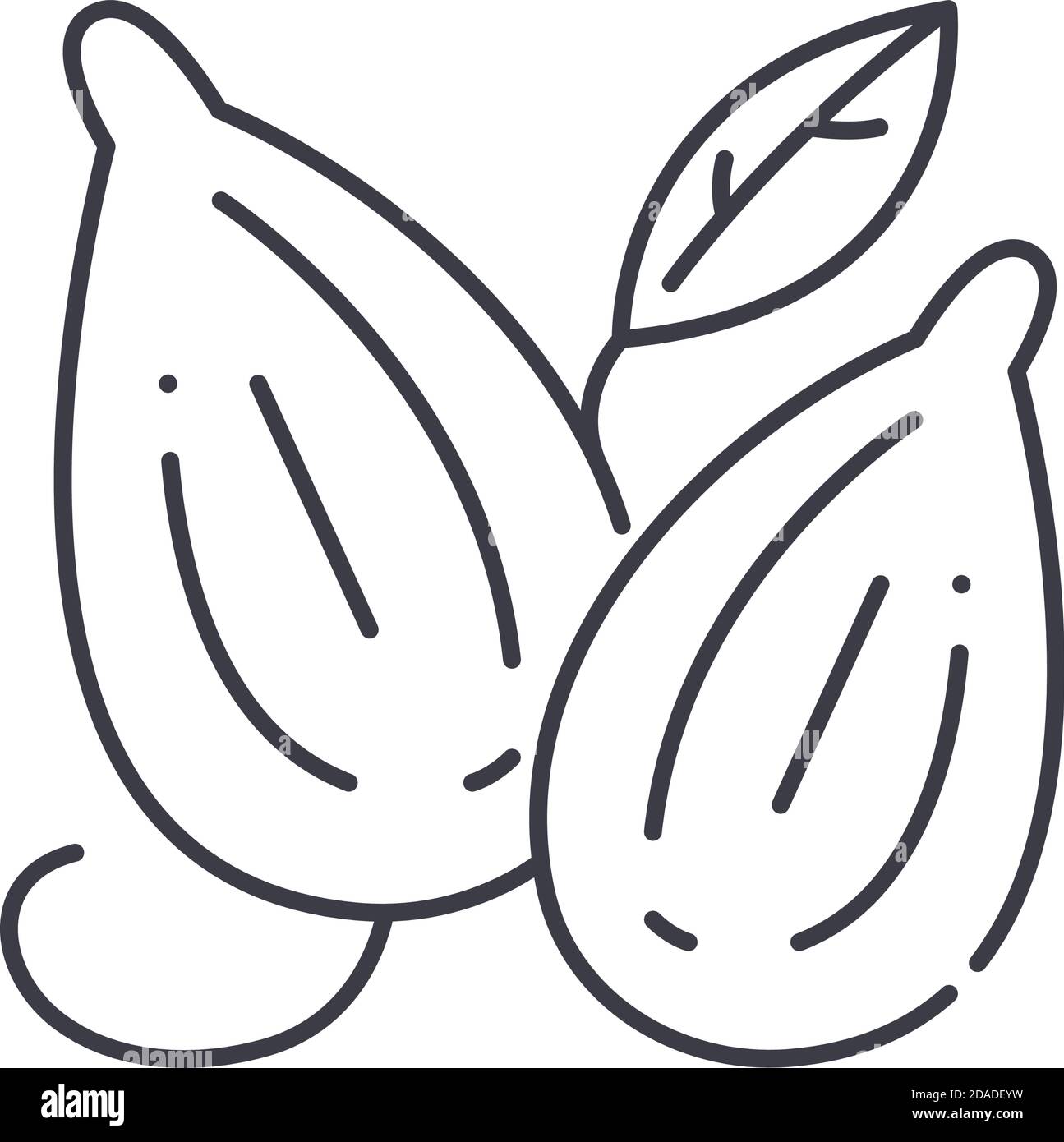 Seeds icon, linear isolated illustration, thin line vector, web design ...