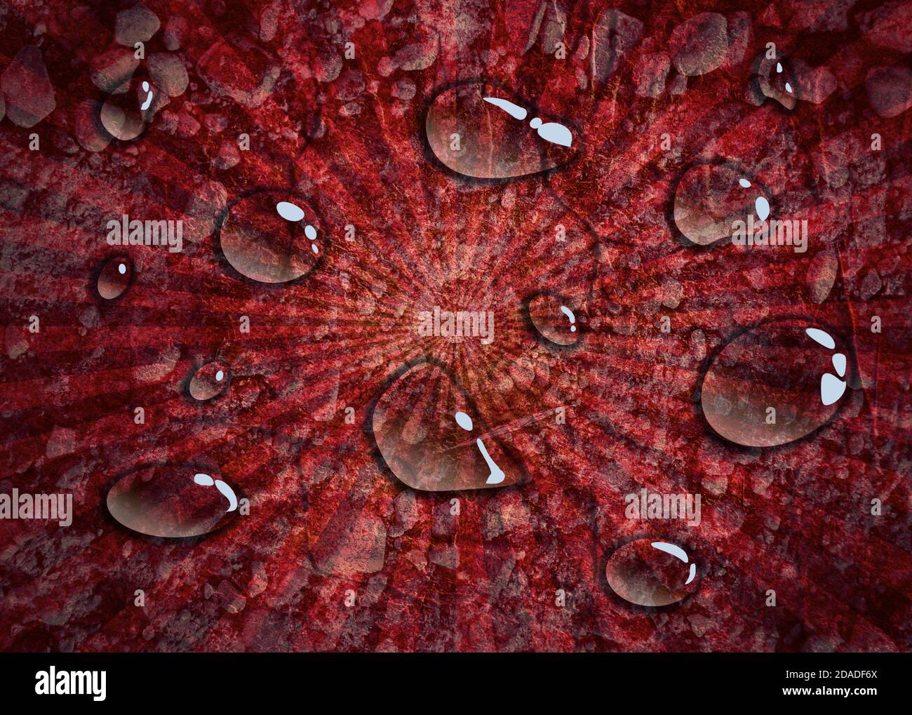 Transparent water drops on red background Stock Photo - Alamy