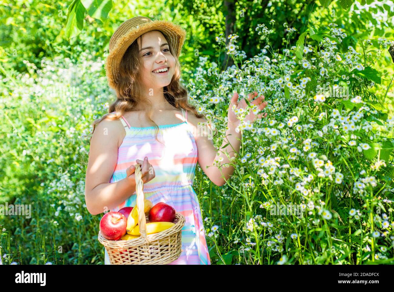 Cute child with basket fruits nature background, picnic concept Stock ...