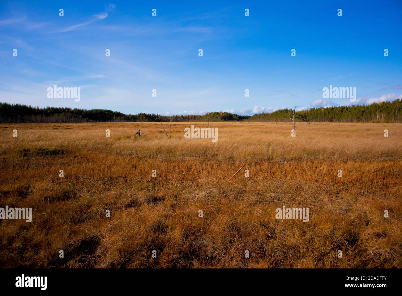 Sky desktop hi-res stock photography and images - Alamy
