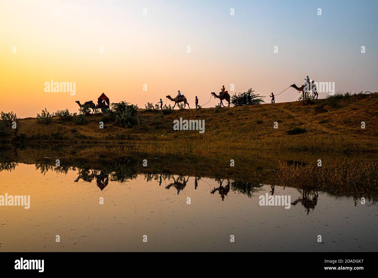 Row Of Camels High Resolution Stock Photography and Images - Alamy