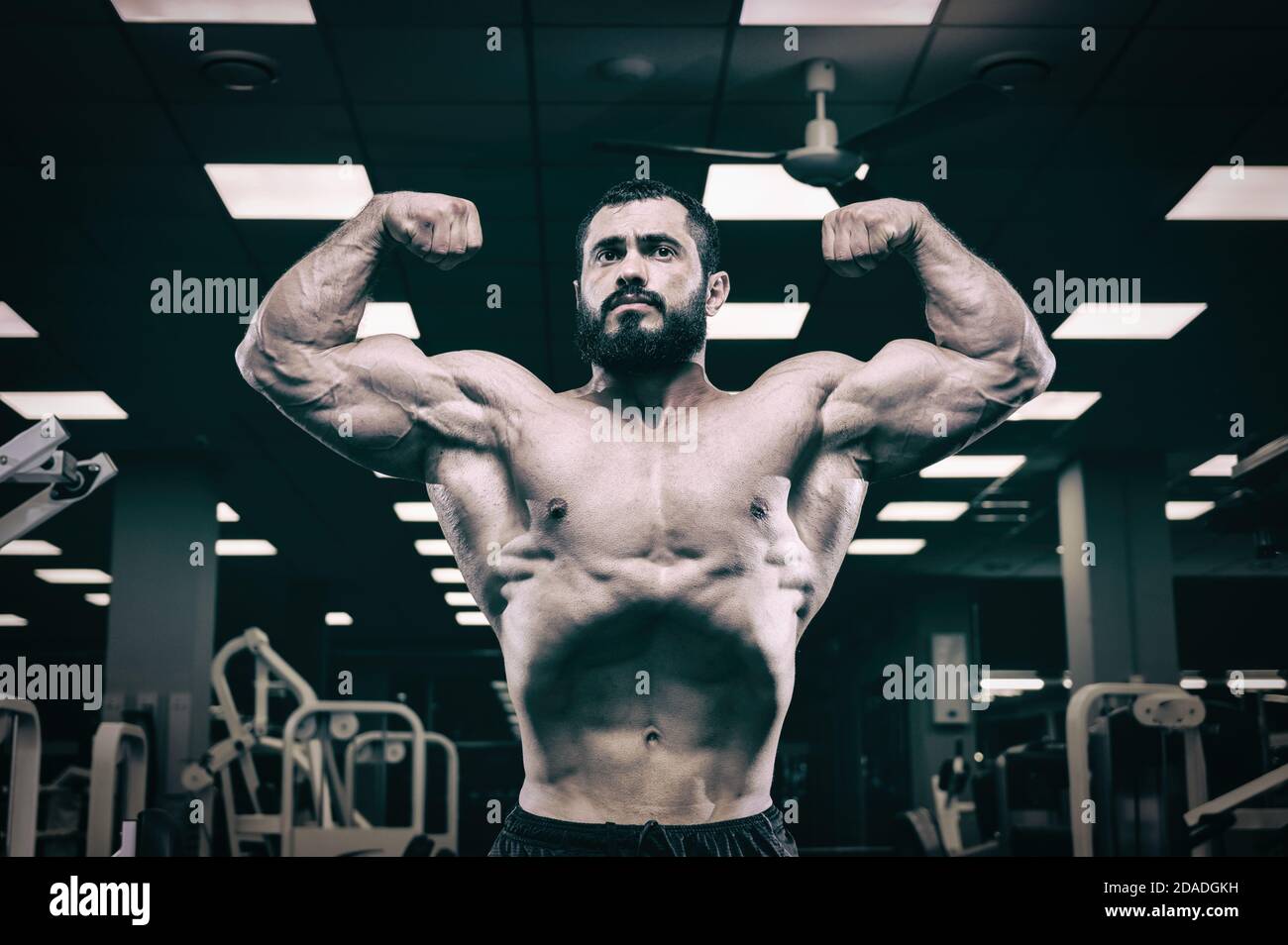 strong young bearded male showing double biceps muscle in dark sport ...