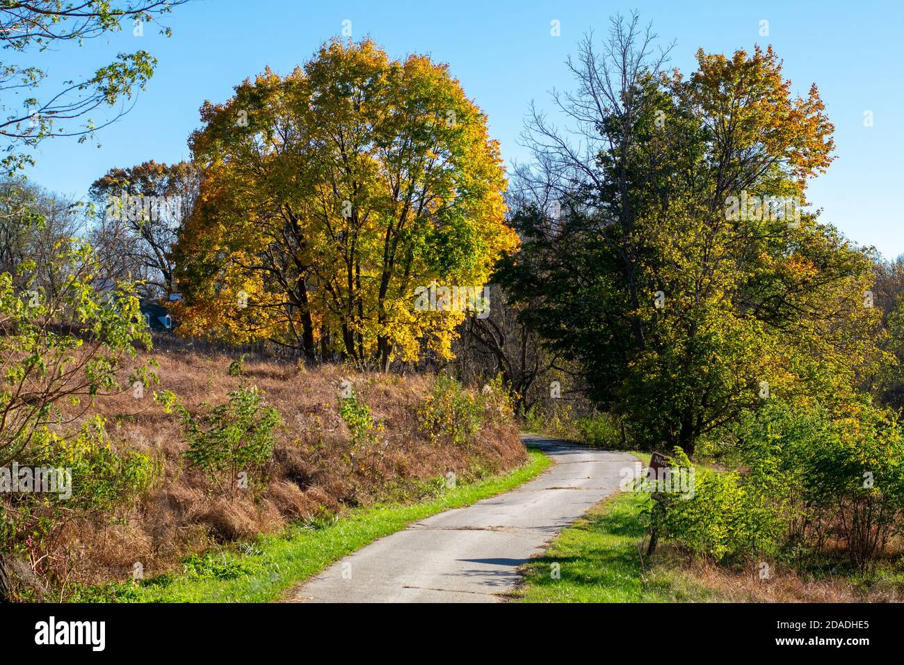 A Paved Pathway Leading Into an Autumn Forest at Valley Forge National ...
