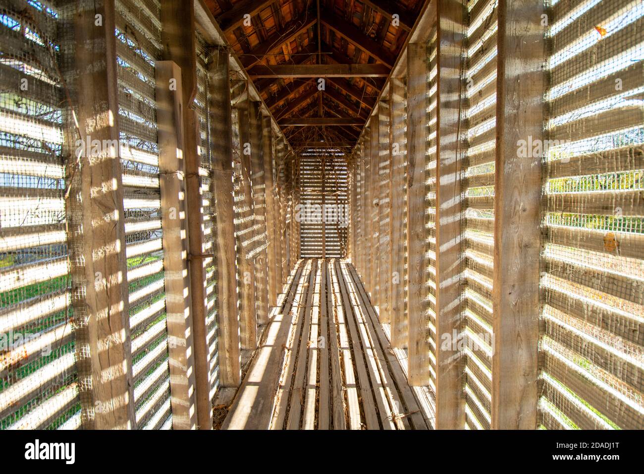 Diagonal columns building hi-res stock photography and images - Alamy