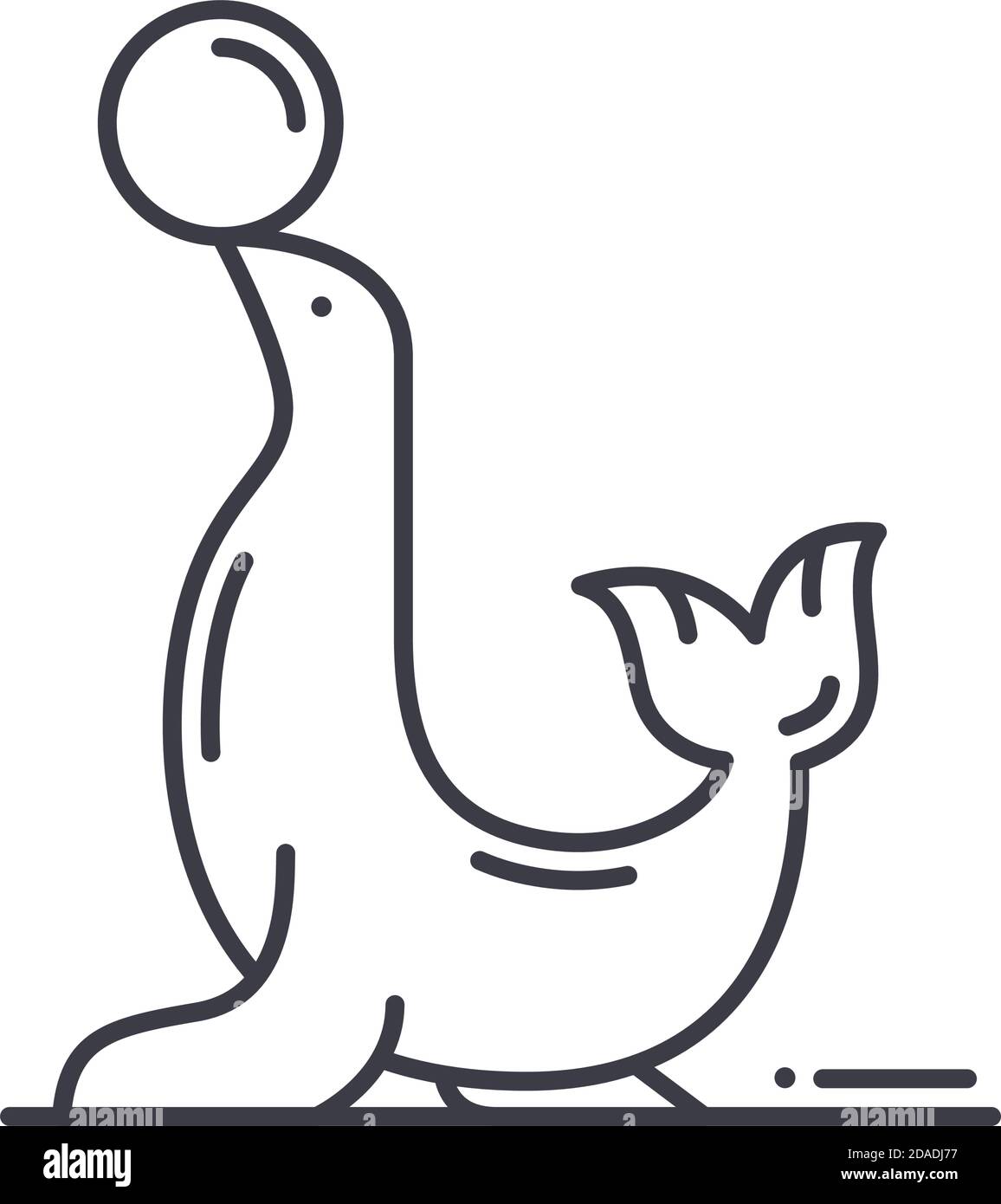 Sea calf icon, linear isolated illustration, thin line vector, web ...