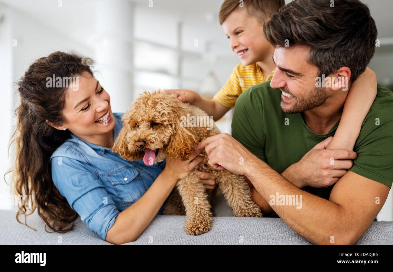 Happy family playing, having fun with dog at home Stock Photo - Alamy