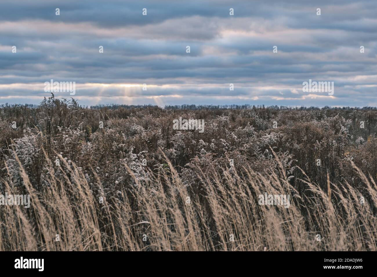 Beautiful stormy heavy sky with clouds and sun rays. Beautiful meadow ...