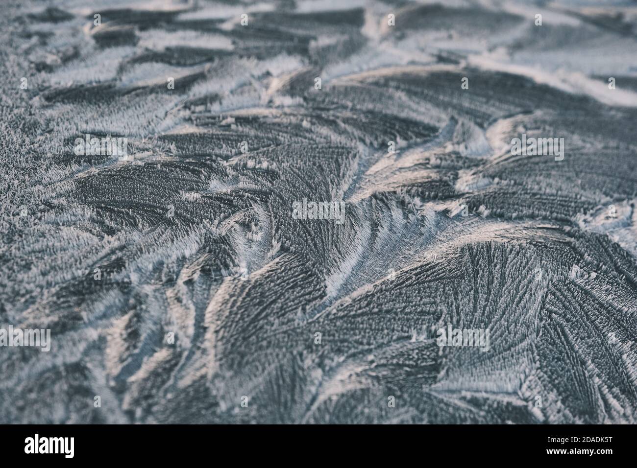 Frost design hi-res stock photography and images - Alamy