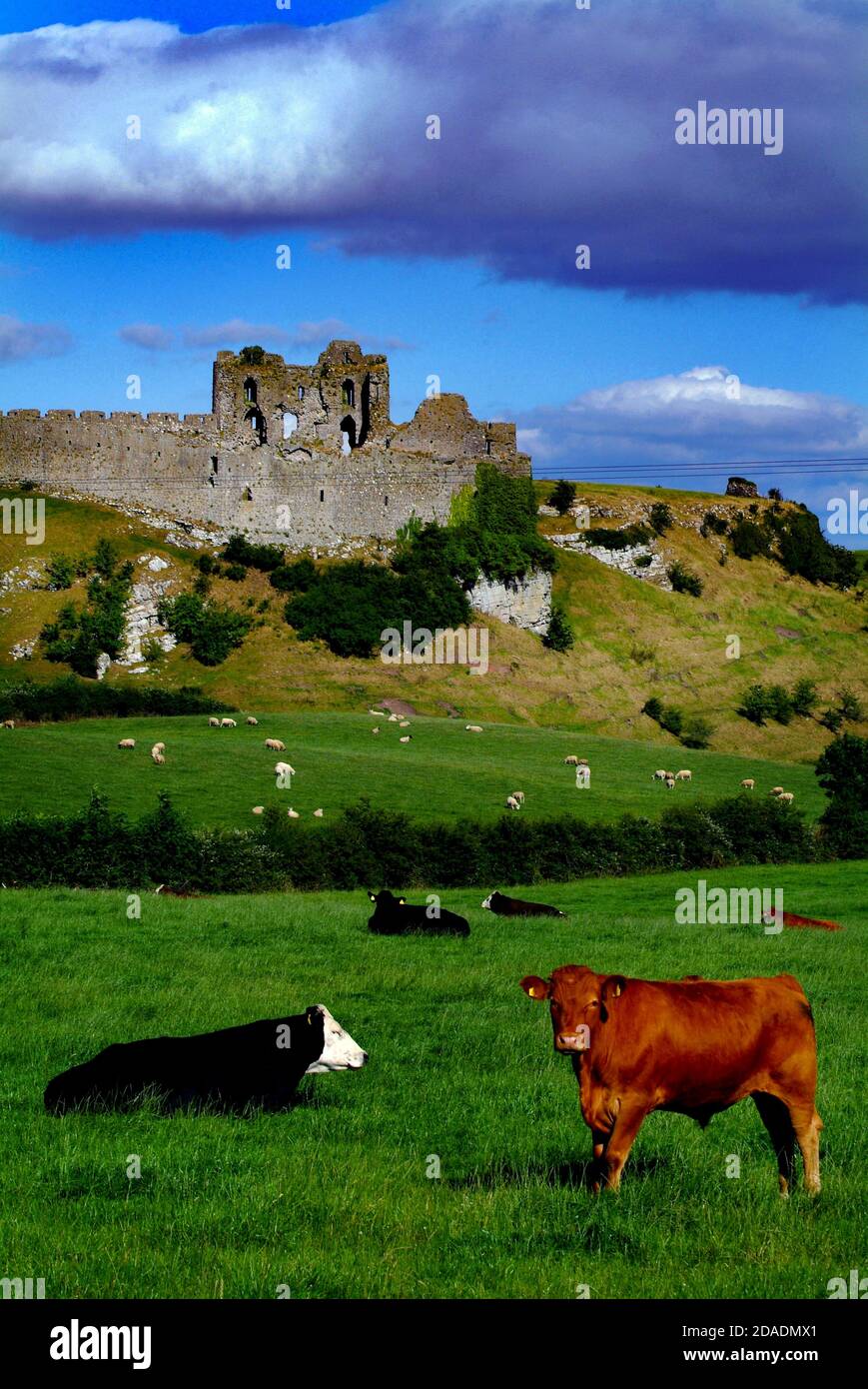Castleroche a Norman Castle in Co. Louth, Ireland Stock Photo - Alamy
