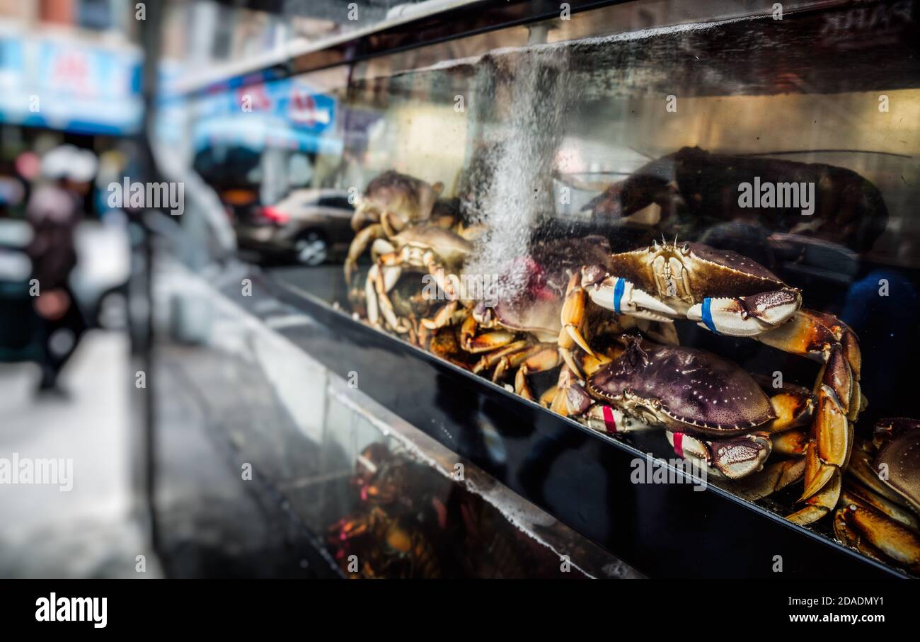 Crabs in the aquarium at Chinatown fruit market in New York City Stock Photo - Alamy