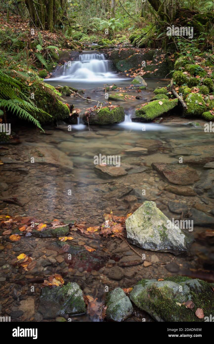 Humid environment hi-res stock photography and images - Alamy