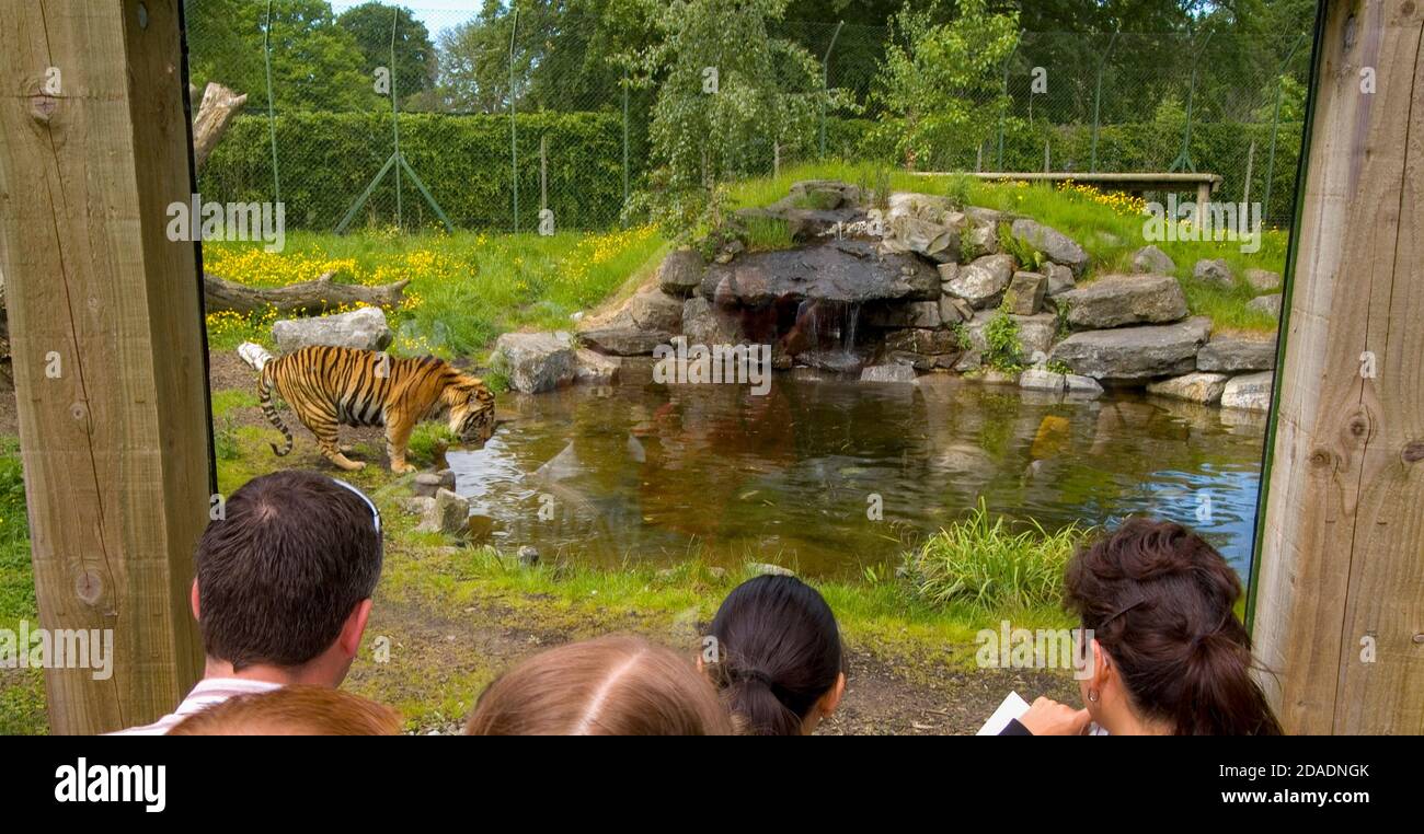 Dublin Zoo in Phoenix Park, Ireland Stock Photo - Alamy