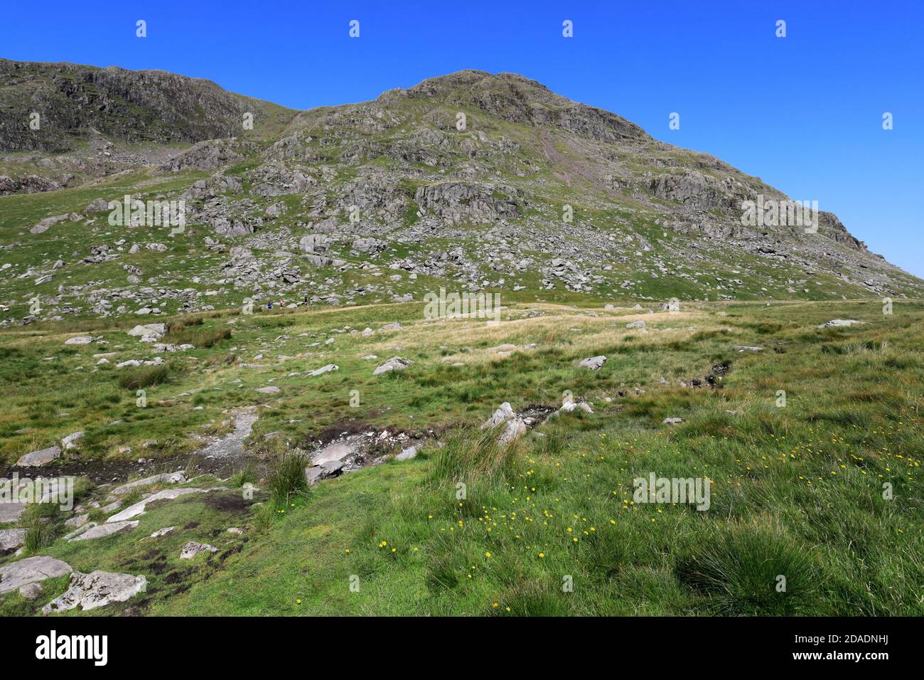 Summer view of Red Screes fell, Kirkstone pass, Lake District National ...