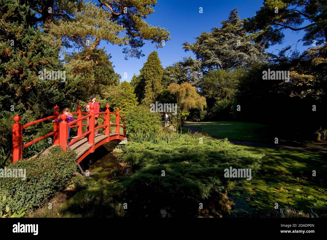 Kildare japanese gardens hi-res stock photography and images - Alamy