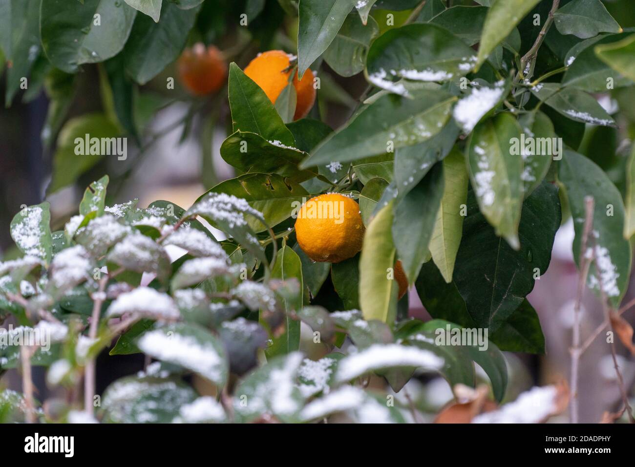 Global environmental problems hi-res stock photography and images - Alamy