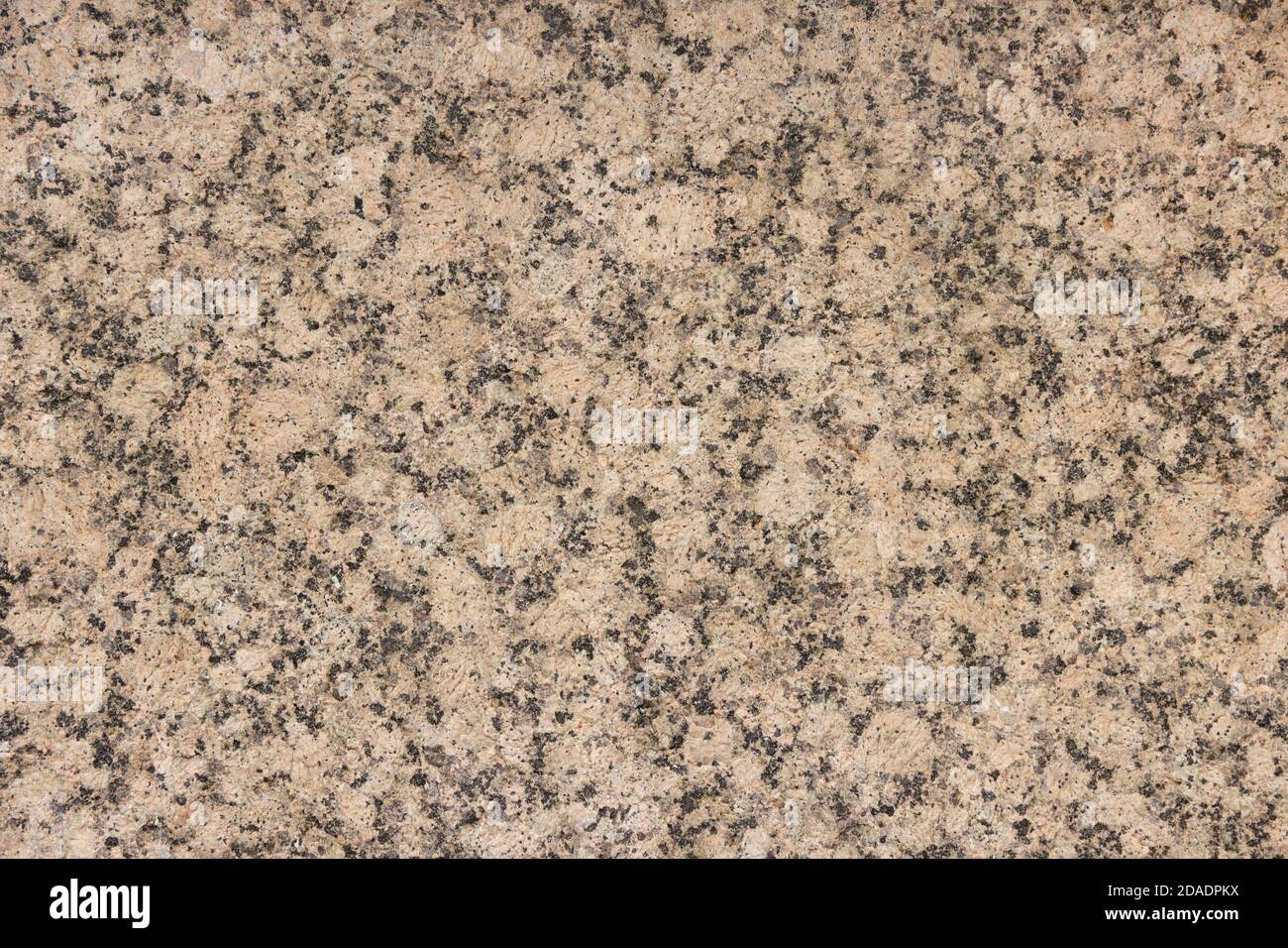 The texture of a variegated speckled polished marble slab Stock Photo ...