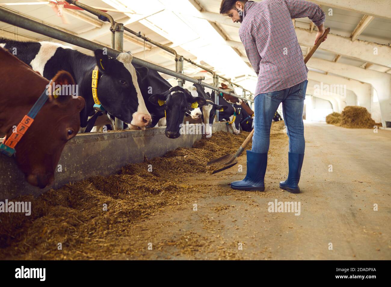 Animal feed manufacturing hi-res stock photography and images - Alamy
