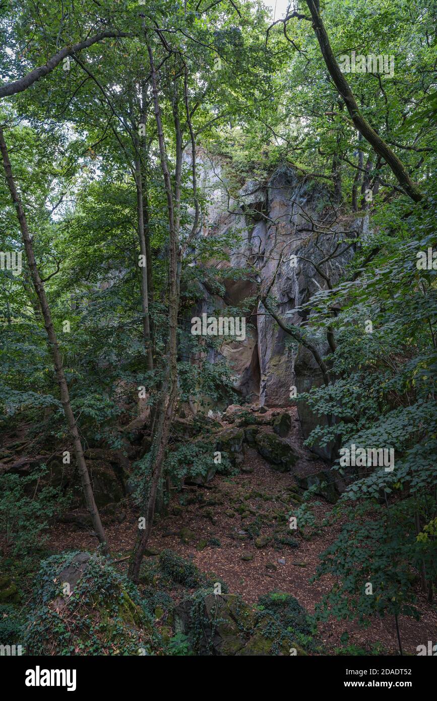 View on a opright overgrown rock wall in a forest in Summer Stock Photo ...