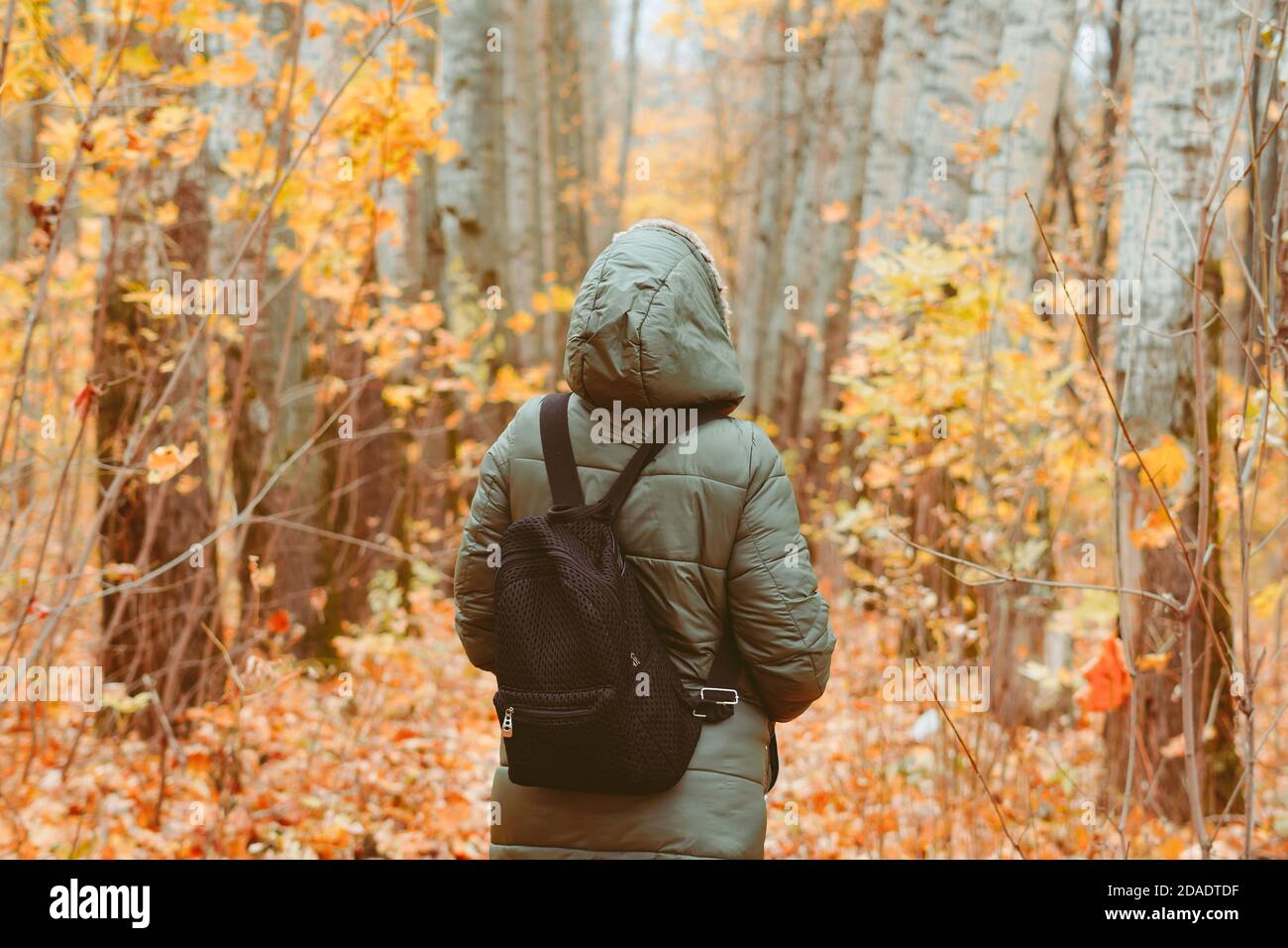Senior citizen stroll in a park in autumn Stock Photo - Alamy