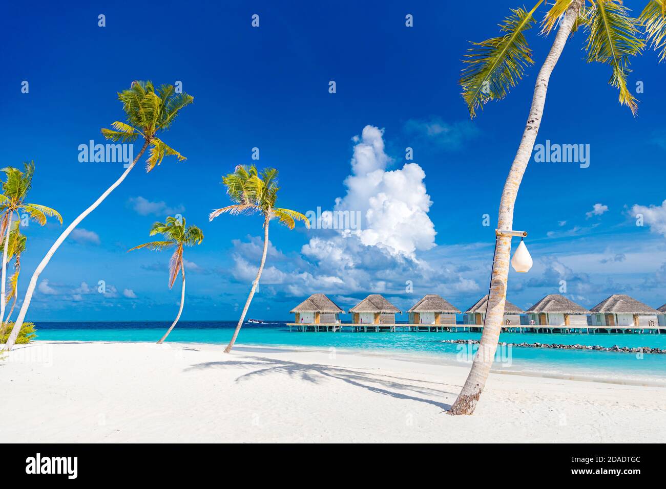 Perfect tropical beach landscape. Beautiful beach with palm trees and ...